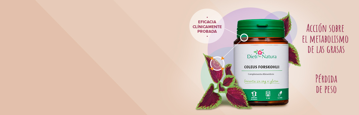 Complementos alimenticios y cosmética desde 1992 | Dieti Natura